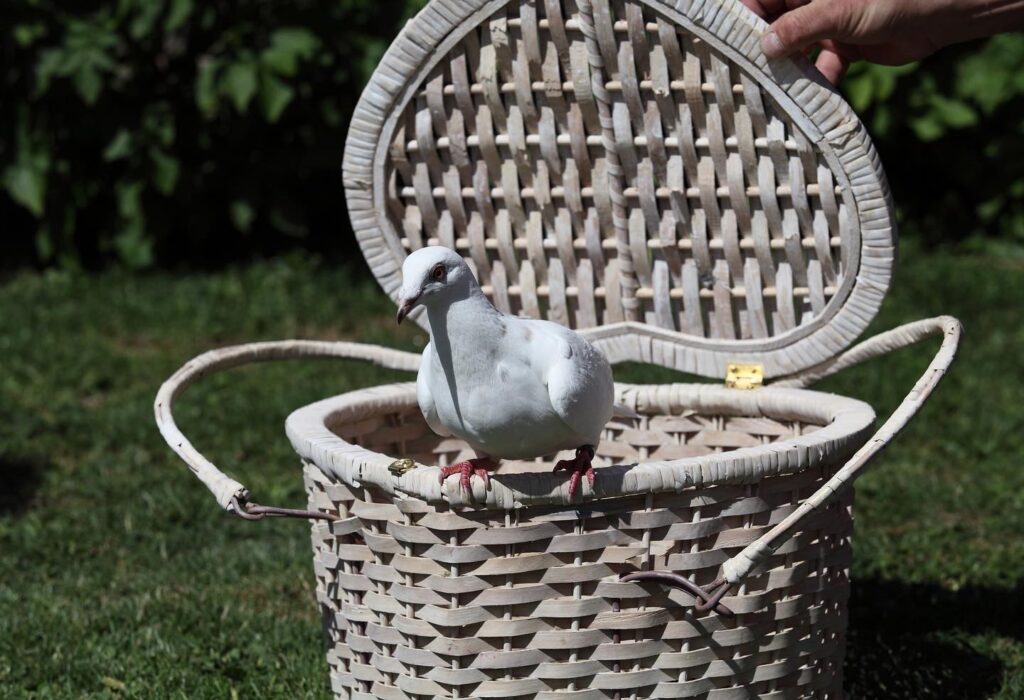 Personal Touches | W. Uden & Sons Funeral Directors