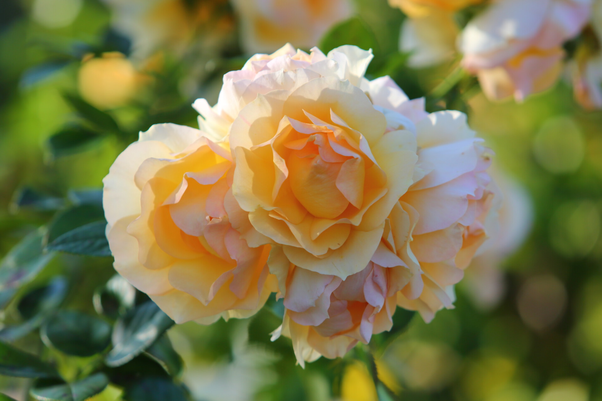 Guilty For Living | W. Uden & Sons Funeral Directors