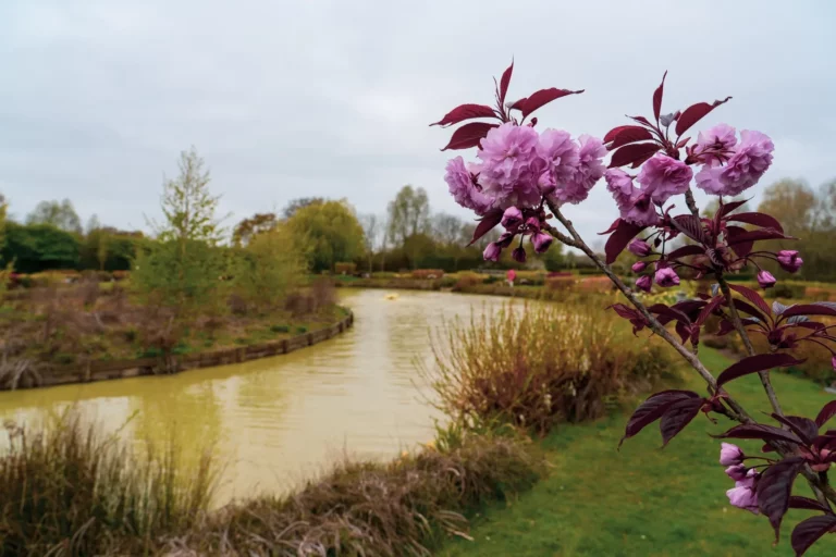 Garden of England Crematorium | W. Uden & Sons Funeral Directors