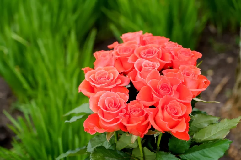 Garden of England Crematorium | W. Uden & Sons Funeral Directors